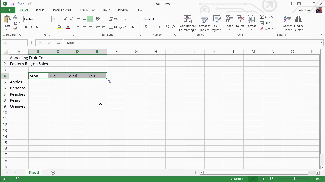 Introduction to Spreadsheets - Setting Up a Simple Worksheet