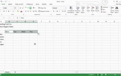Introduction to Spreadsheets - Setting Up a Simple Worksheet