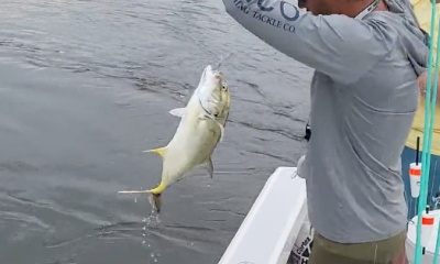 Captain Matt Dandy, Sarasota, United States - FishingBooker