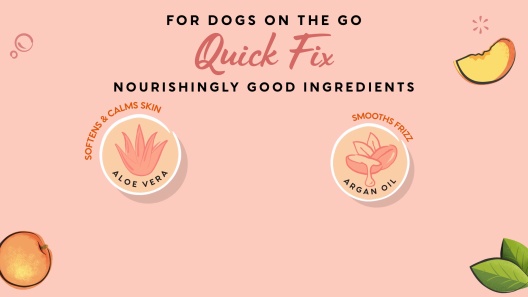 PET HEAD Quick Fix Dog Deodorizer Spray, 10.1-fl oz bottle - Chewy.com