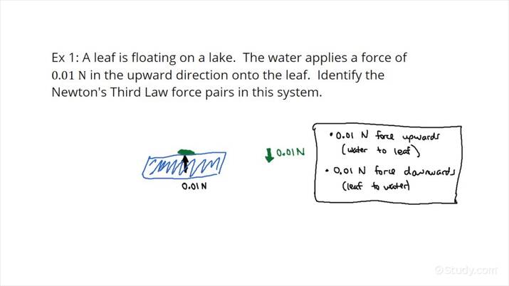 How to Identify Newton's Third Law Force Pairs in Fluids | Physics ...