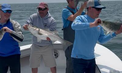 Size and numbers - Dennis Fishing Report - FishingBooker