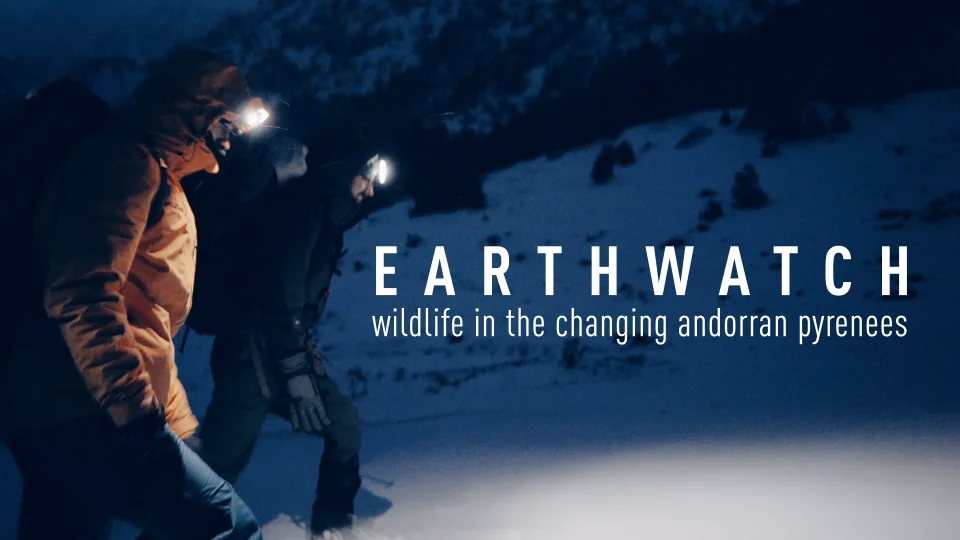 High-Altitude Frontlines: Wildlife at Risk in the Andorran Pyrenees ...