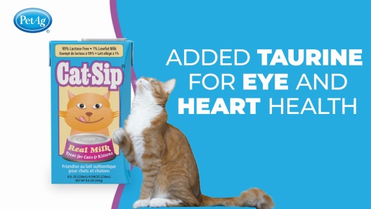 Discontinued - PETAG Cat-Sip Real Milk Treat for Cats & Kittens, 8-fl ...
