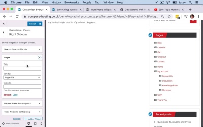 Everything You Need to Know About WordPress Widgets - Adding Widgets via the Customizer