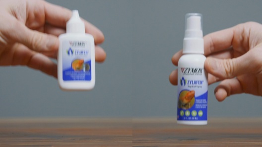 ZYMOX Zylafen Reptile Topical Spray, 2-oz bottle - Chewy.com