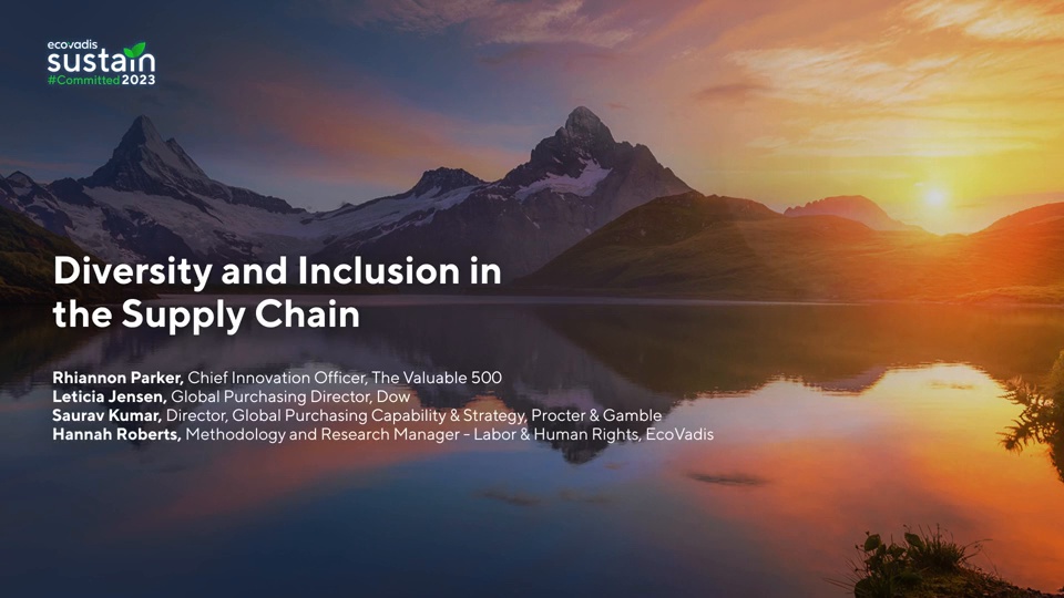 Diversity and Inclusion in the Supply Chain | EcoVadis