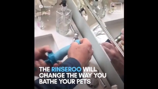 RINSEROO Bathe Anywhere Pet Rinser Hose Attachment, 6-ft, Blue - Chewy.com