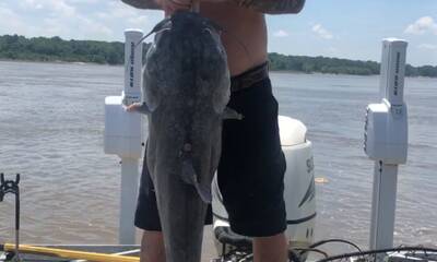 Daily Memphis Fishing Reports (March 2024)