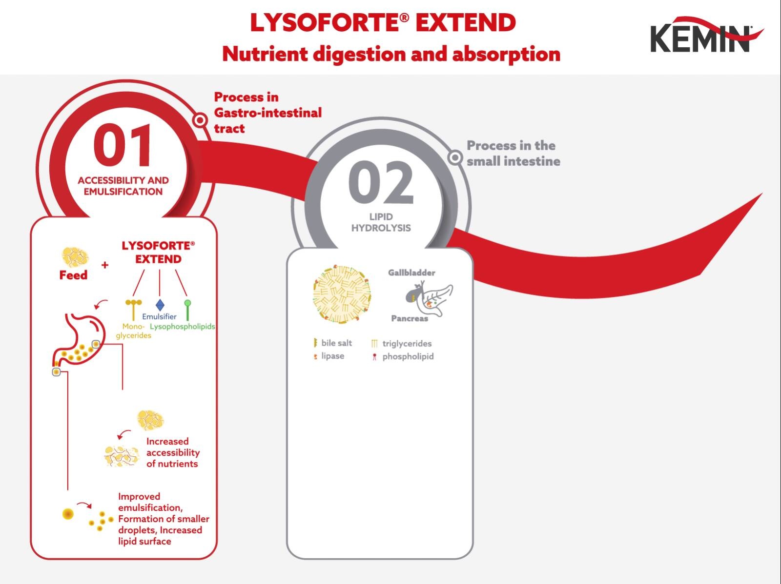 Improved nutrient digestion & absorption