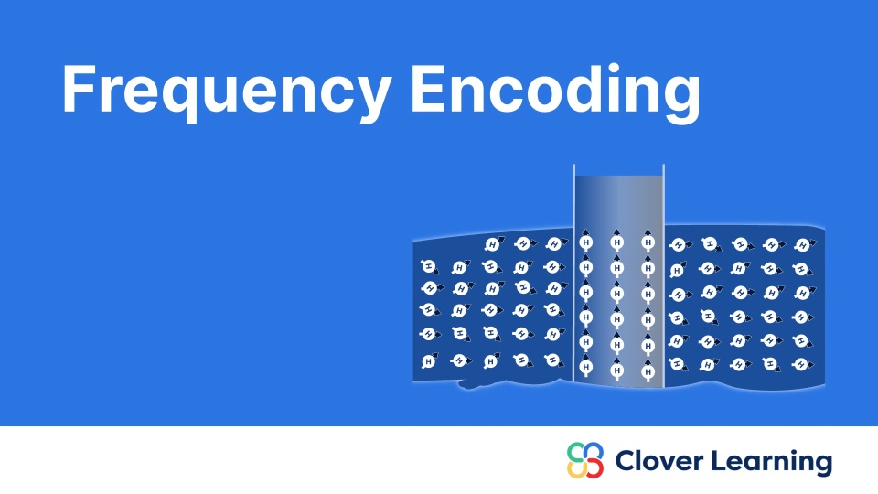 Frequency Encoding | Video Lesson | Clover Learning