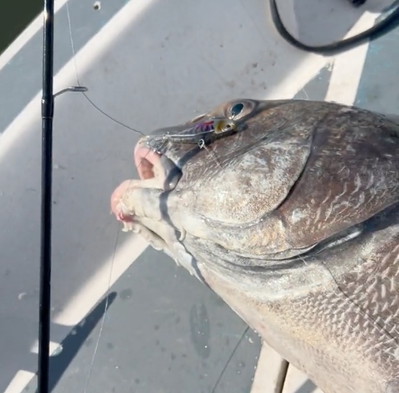 Reel Finesser Fishing LLC - Updated 2024 Prices