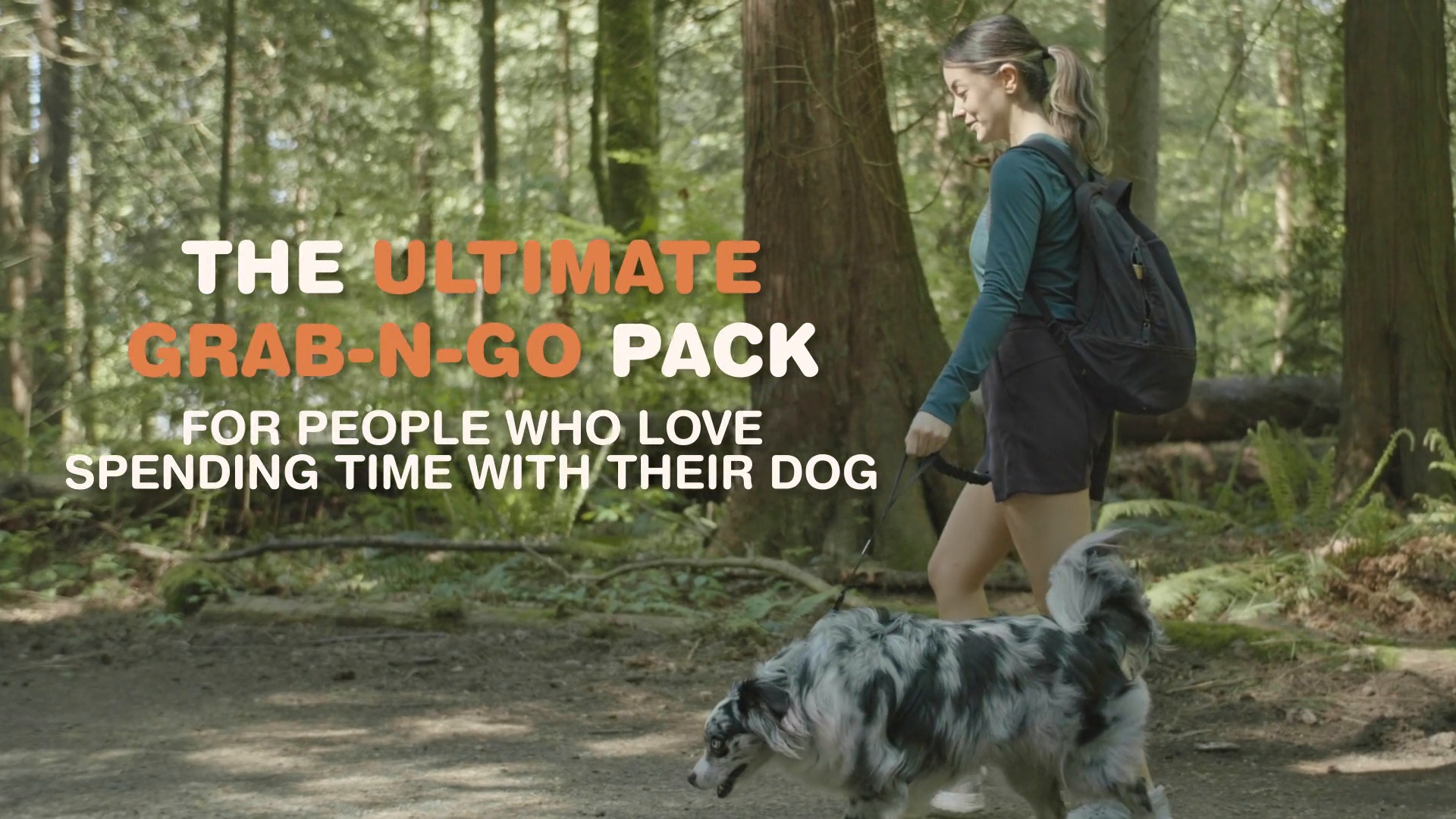 Mountain Hound | Index