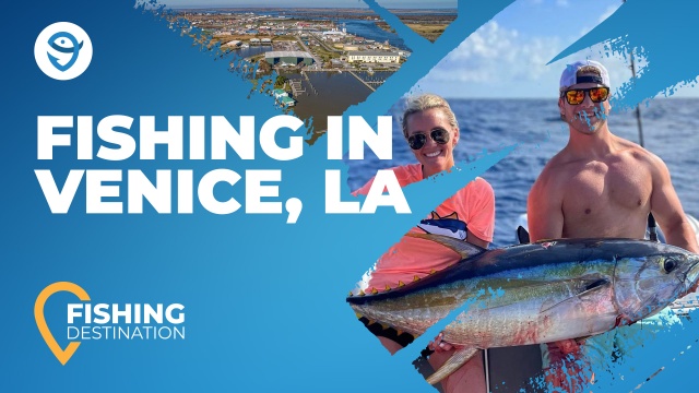 Yellowfin Tuna Fishing In Venice Louisiana An Insider's Guide To Epic