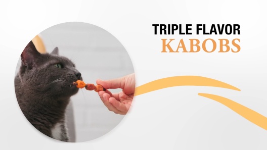 GOOD 'N' TASTY Chicken, Salmon, Tuna Kabob Cat Treats 1.4-oz bag ...