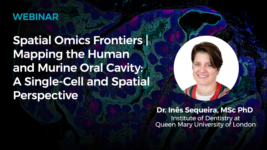 Spatial Omics Frontiers | Mapping the Human and Murine Oral Cavity: A Single-Cell and Spatial ...