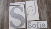 Custom Vinyl Lettering | Craftcuts.com