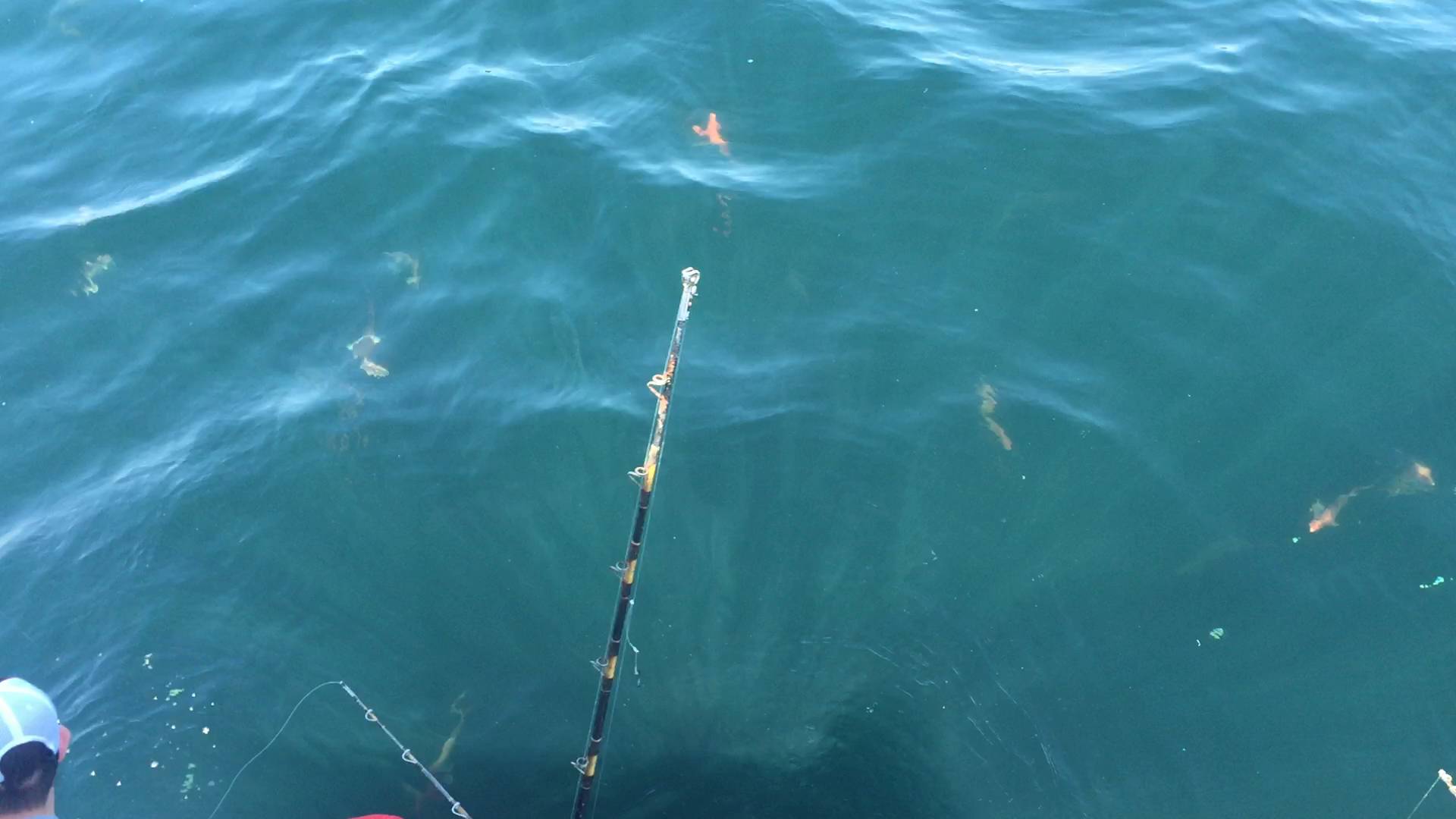 2018 Red Snapper Season - Orange Beach Fishing Report - FishingBooker