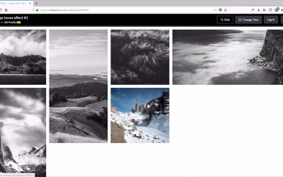 5 CSS Projects: Image Hover Effects - CSS Filters