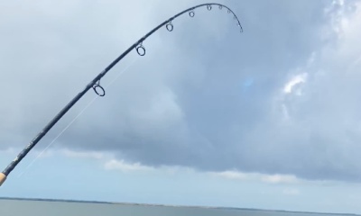 Fishing with Nick - Review of Grand Slam Charters, Fort Myers Beach, FL ...