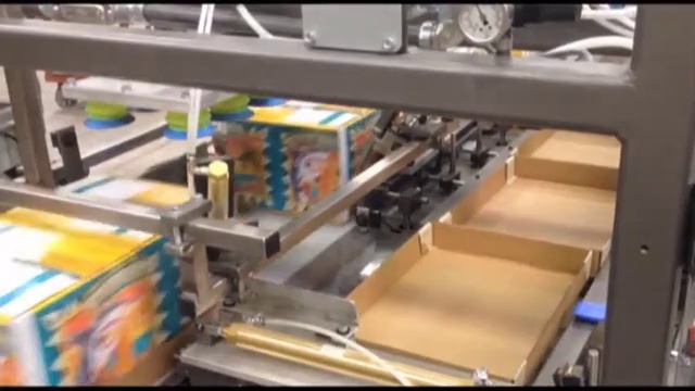 Tray Packers | Wayne Automation