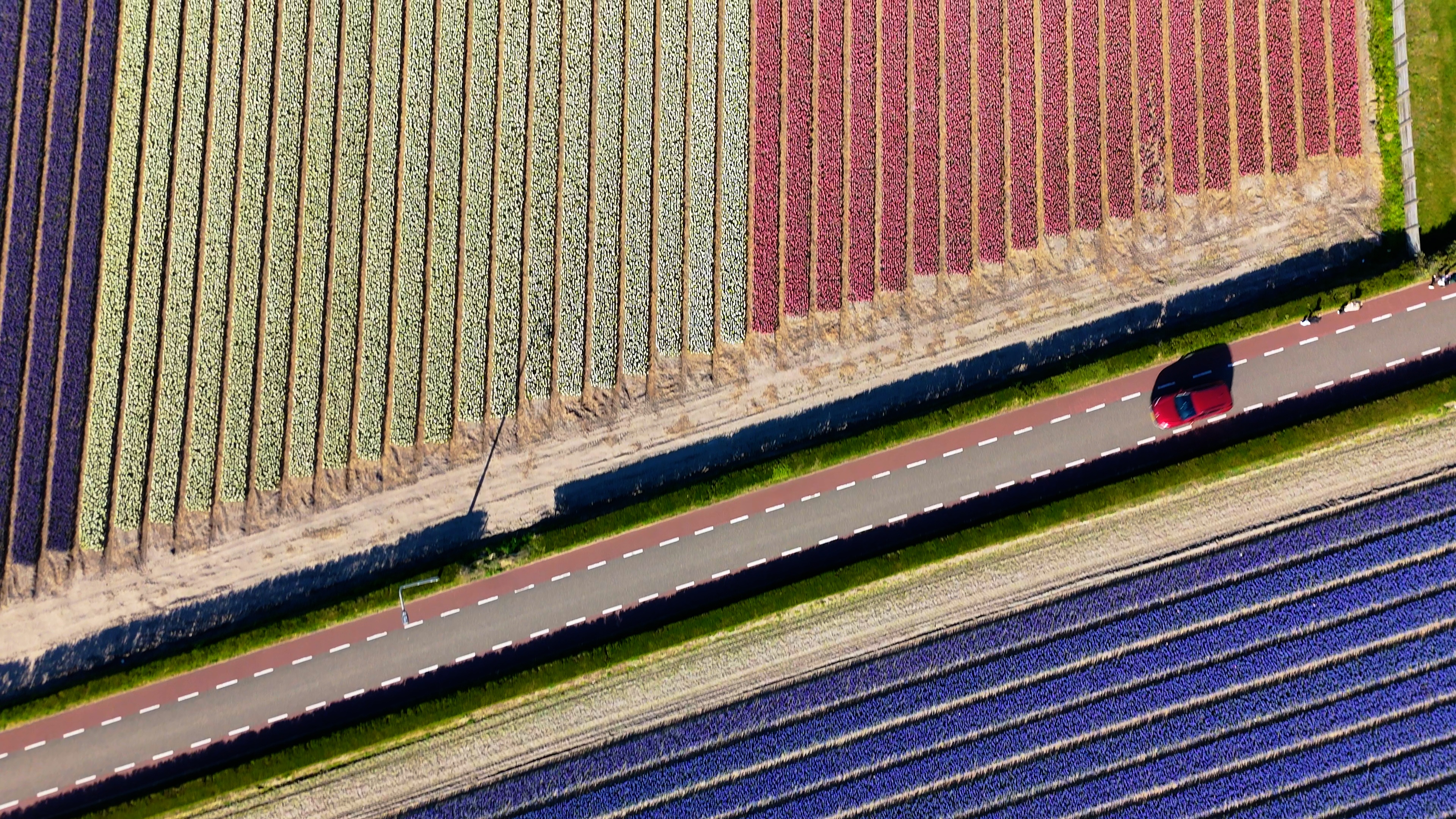 VIDEO: Incredible Tulip Time Scenes from an Emerald River Cruise in the ...