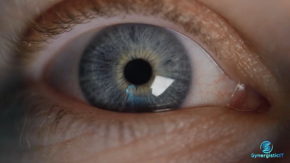 Discover the Power of IT Training at SynergisticIT | Gallery