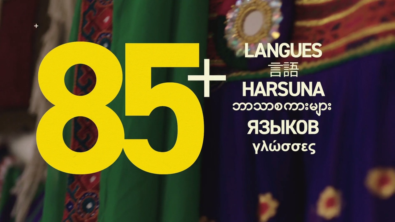 Diplomatic Language Services | Language and Culture Services