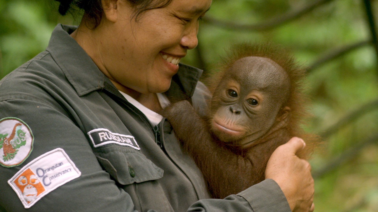 A Different Light | Shave Media