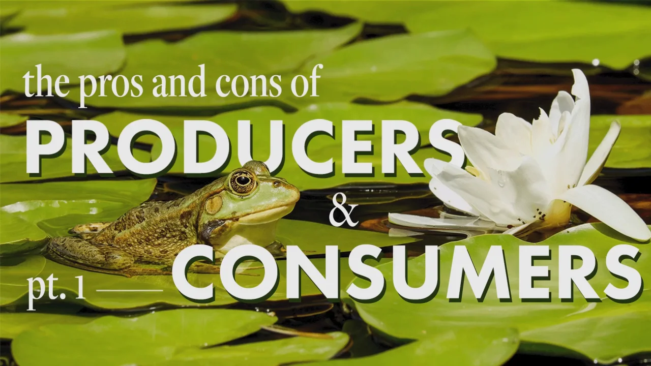 Producers And Consumers