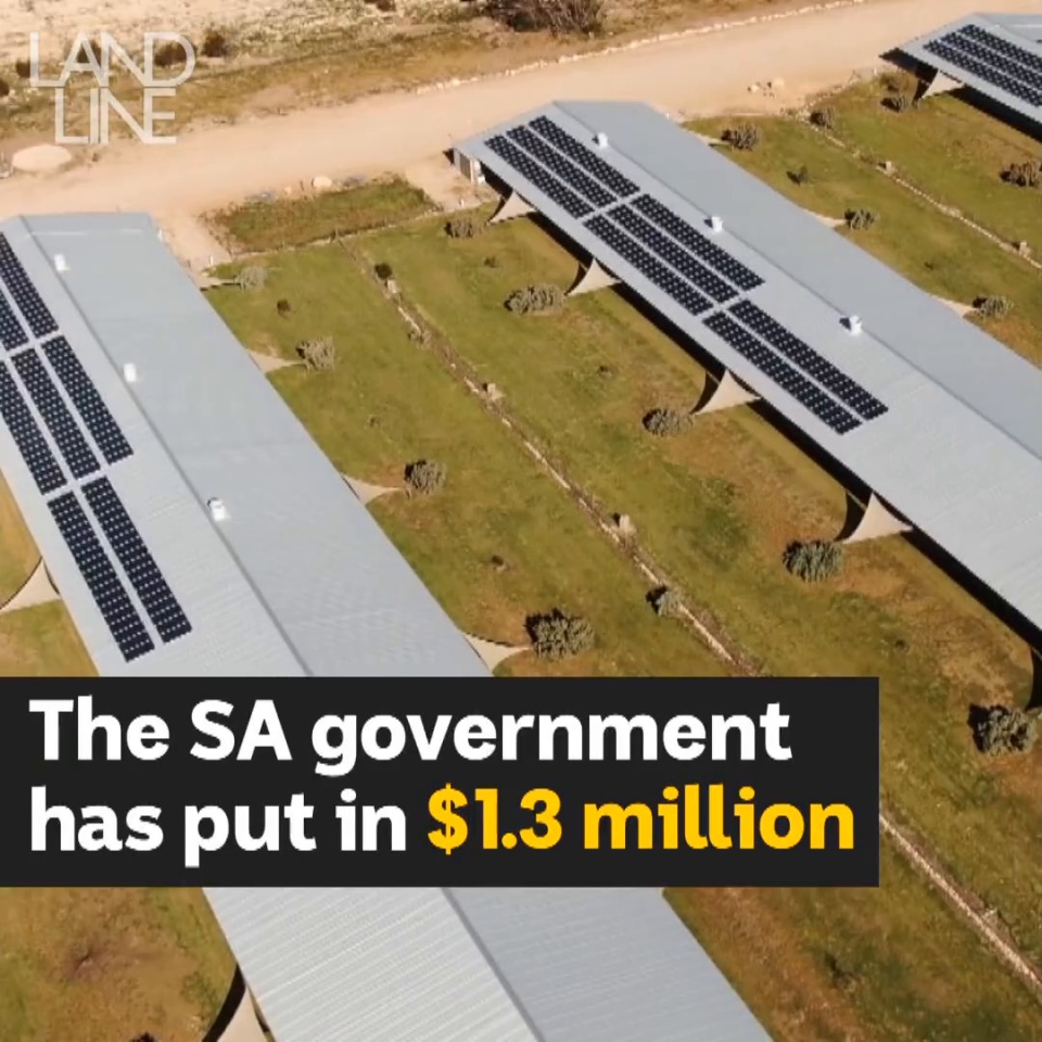 Case Studies — AAM Agri Access Fund