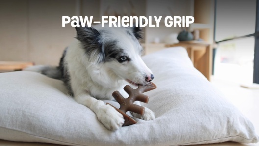 BENEBONE Fishbone Dog Chew Toy, Brown, Tiny, 2 count - Chewy.com