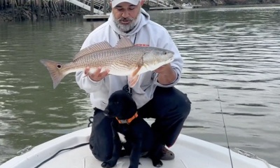 27 inch red - Darien Fishing Report - FishingBooker
