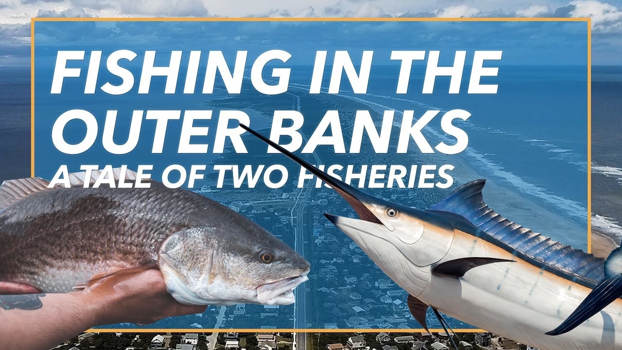Outer Banks Fishing: The Complete Guide (Updated 2023)