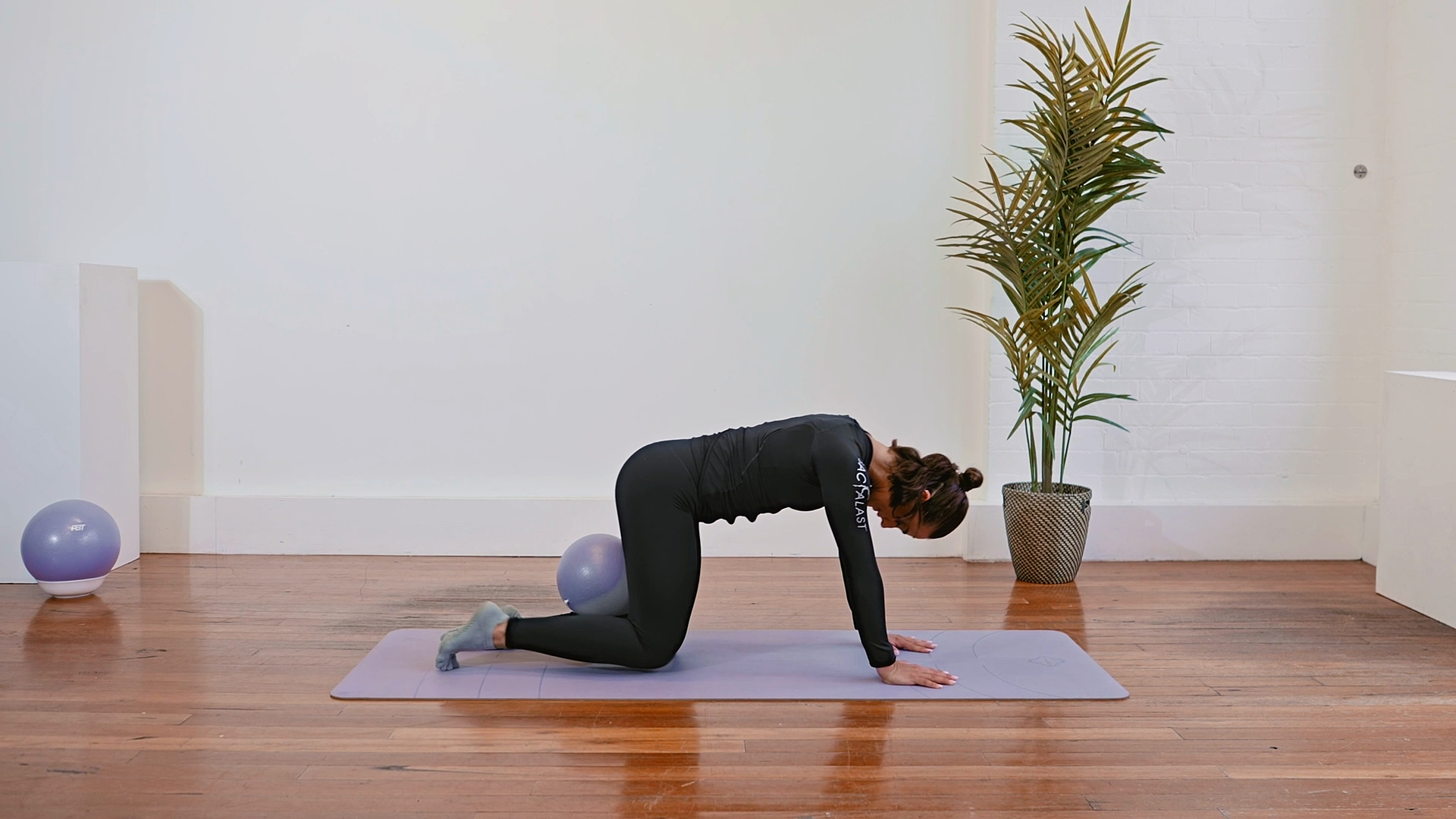Progressing Ballet Technique (PBT)