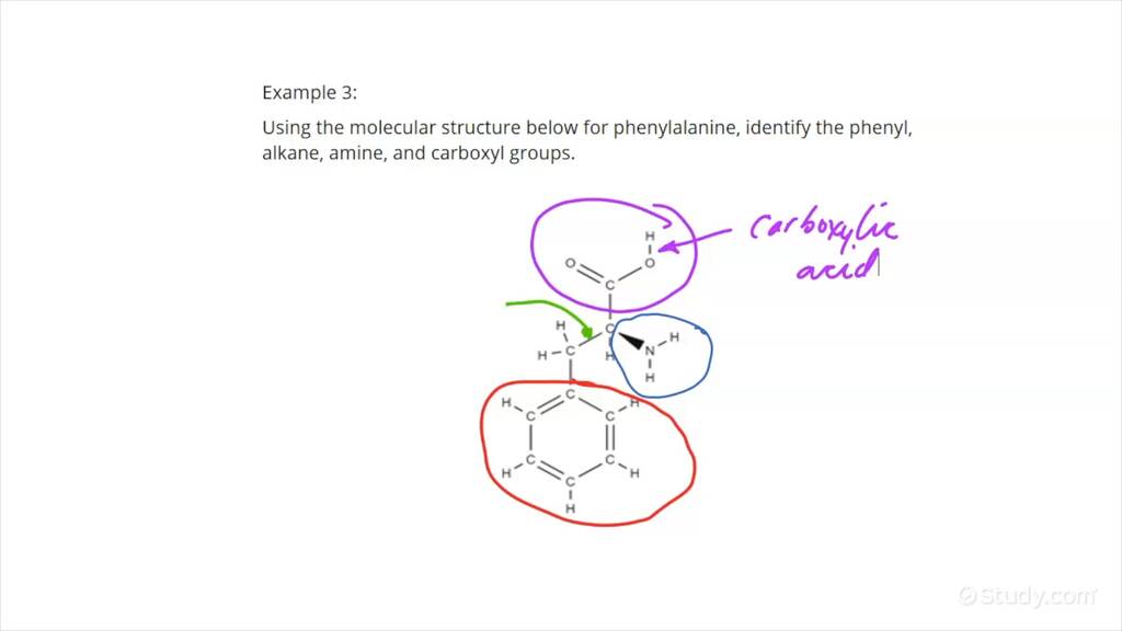 Naming Common Chemical Groups | Chemistry | Study.com