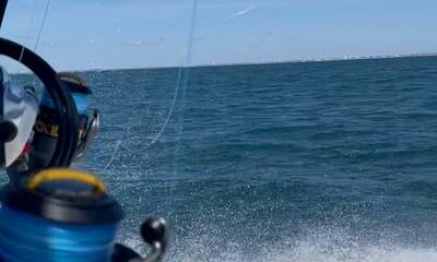 Bottom Fishing Trip - Atlantic Beach Fishing Report - FishingBooker