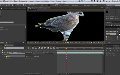 30 Days to Learn Adobe After Effects - Masks & Shapes