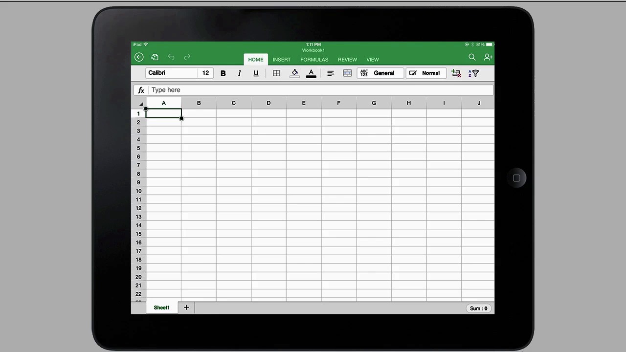 Introduction to Spreadsheets - Examining a Spreadsheet