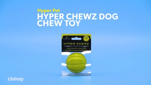 HYPER PET Hyper Chewz Dog Chew Toy, Bone - Chewy.com