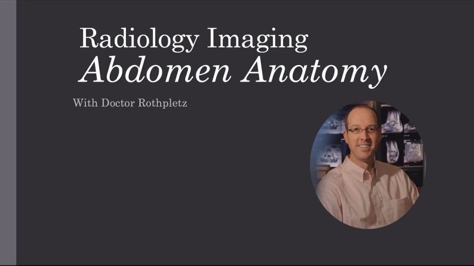 Abdomen Anatomy and Pathology | Video Lesson | Clover Learning