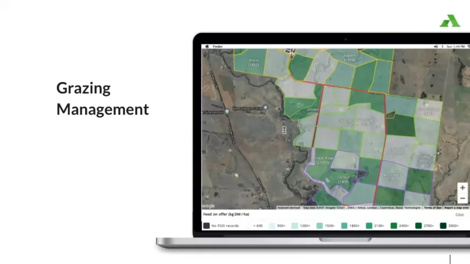 Effective Grazing Management: Turning Product into Profit