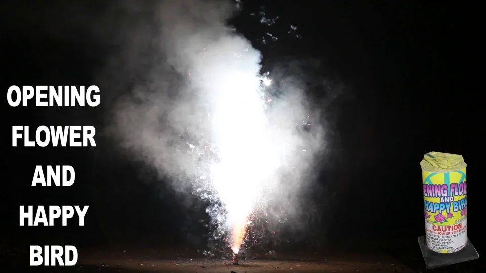 Opening Flower And Happy Bird Firework | Best Flower Site