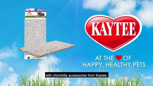 KAYTEE Chin Chiller Granite Stone Chinchilla Cooling Ledge, 9.9-in ...