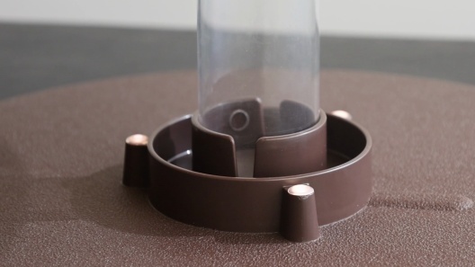 COZY PRODUCTS Cozy Brooder Habitat Plus Chick Brooder, Small - Chewy.com