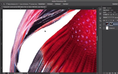 Typography Poster Design in Adobe Photoshop - How to Use Layer Masks