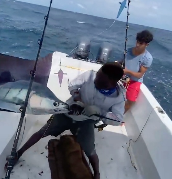 Sea Skipper Fishing Charters - Updated 2024 Prices