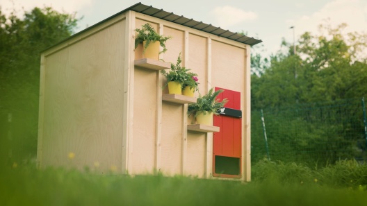 Discontinued - RUN CHICKEN Automatic Turkey Coop Door with Timer, Giant ...