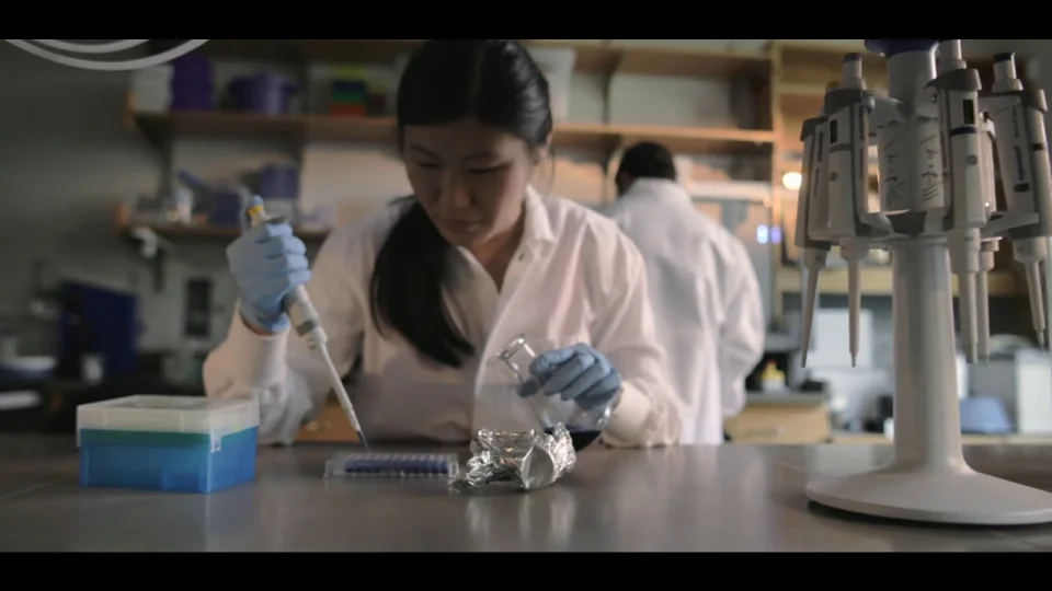 Sinskey Lab – Solving Large Problems With Small Biofactories