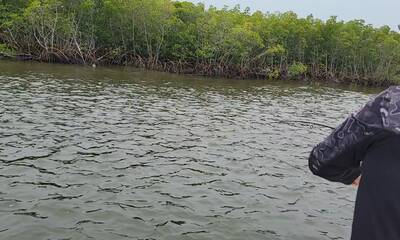 Daily Volusia County Fishing Reports (March 2024)